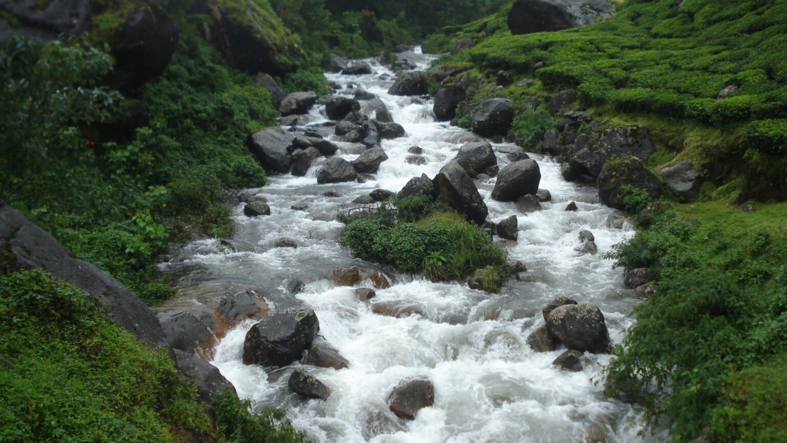Munnar Tourism Is Back – 2026 Travel Guide & Updates